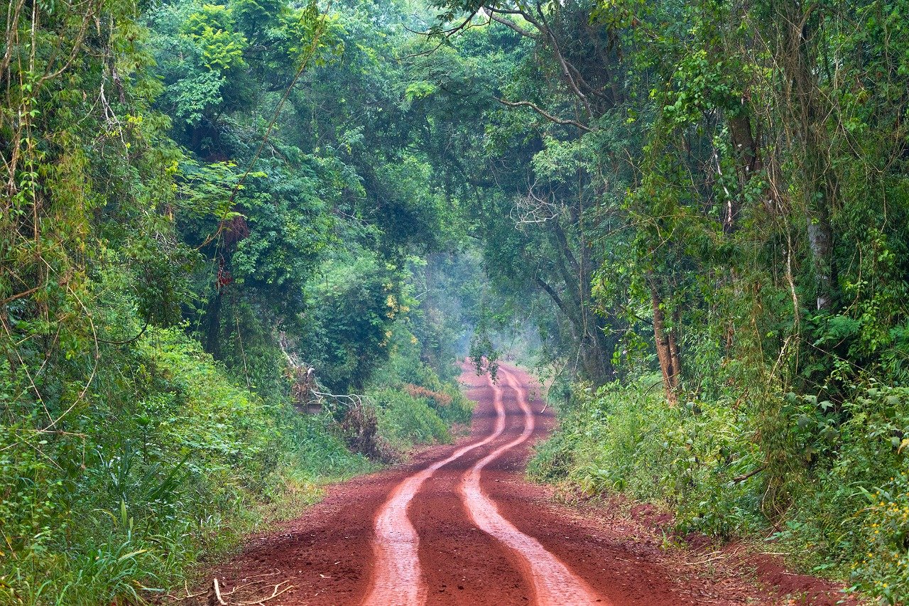 Reserva Natural - San Sebastián de la Selva